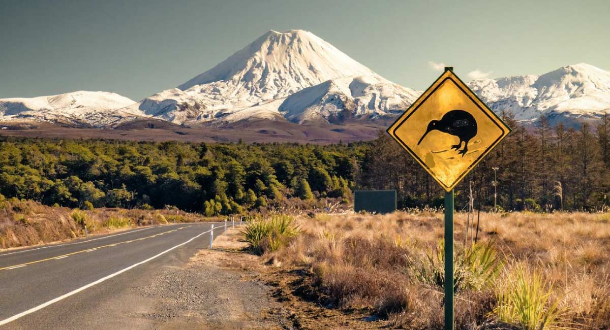 Ski Rental Deals | Snowscene Ski and Board Turangi - Mt Ruapehu | Ski ...